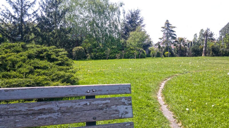 Outdoor grass and flowers stock image. Image of natural - 96604777