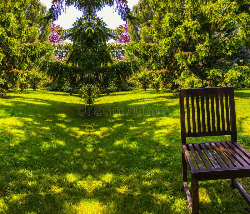 Outdoor grass and flowers stock photo. Image of natural - 96604930