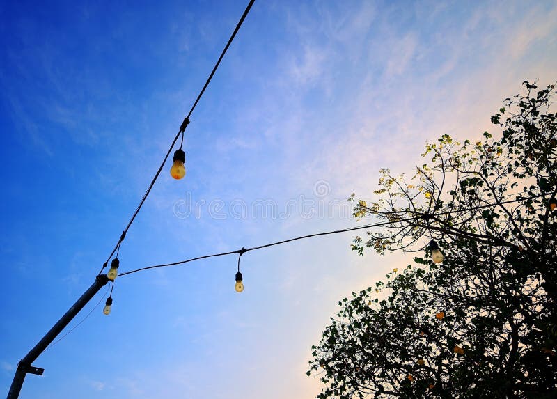 Outdoor Hanging Light Bulbs with Blue Sky and Tree Background in the ...