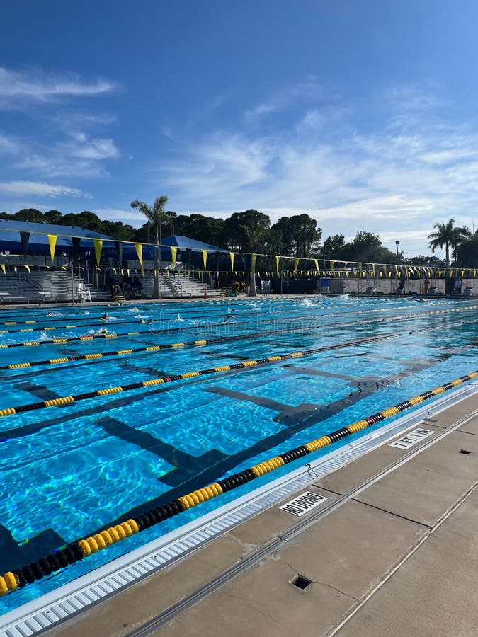 Outdoor Lap Pool in Florida on Clear Summer Day Stock Photo - Image of ...