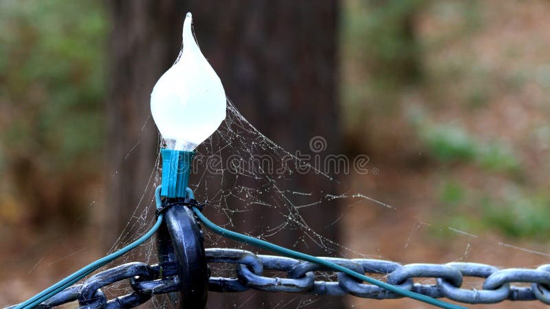 White Lightbulb Covered with Cobwebs Stock Image - Image of bulb ...