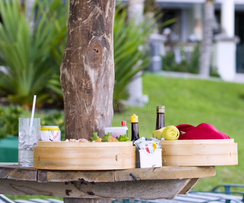 Outdoor Lunch Picture. Image: 4210042