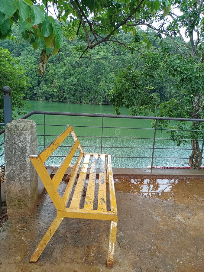 Mattle Body Stock Photos - Free & Royalty-Free Stock Photos from Dreamstime