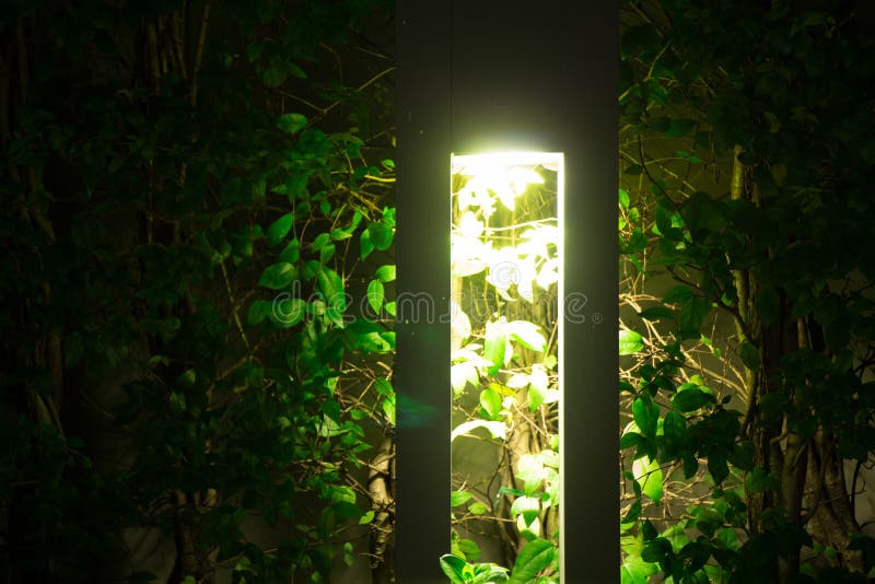 Outdoor Mood Lighting in the Evening with Bright and Beautiful R Stock ...