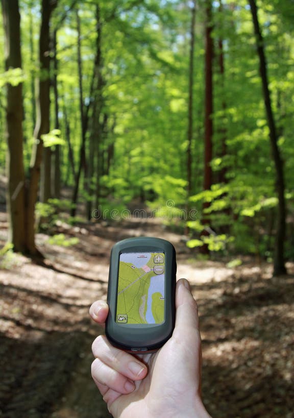 Outdoor Navigation in the Wood Stock Photo - Image of accuracy ...