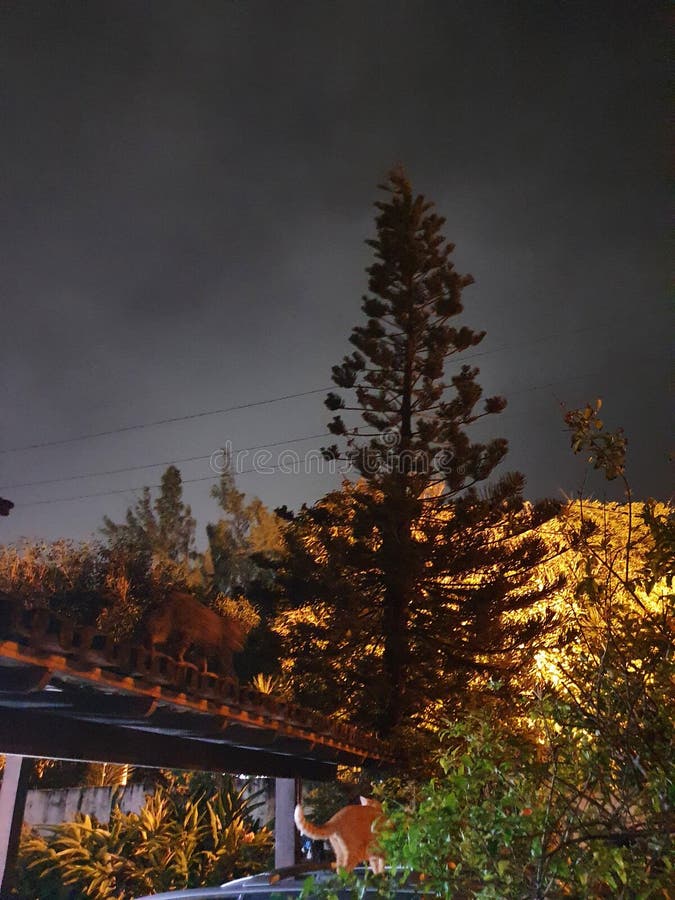 Lighting, Sunlight, Still Life Photography, Computer Wallpaper Picture ...