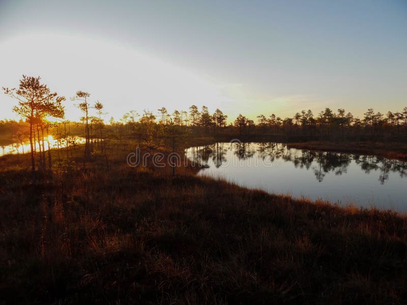 Outdoor Park in the Night Worest Stock Image - Image of lake, shore ...