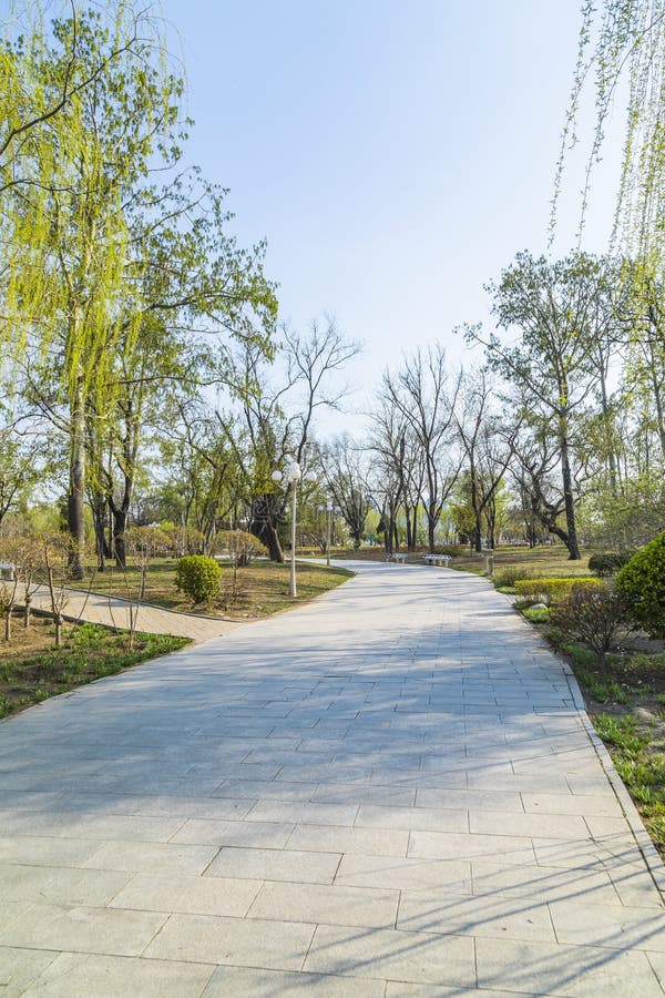 Outdoor Park Road Natural Landscape Stock Photo - Image of track, city ...