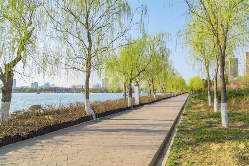 Outdoor Park Road Natural Landscape Stock Photo - Image of landscape ...