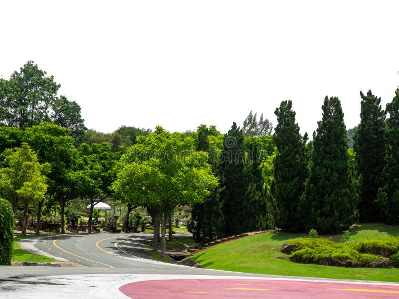 Outdoor Park and Shady Trees Providing Shade on a White Background ...