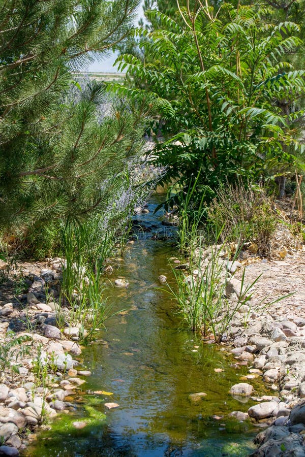 Outdoor Park Stream stock photo. Image of outdoor, vegetation - 96846242