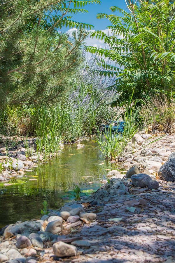 Outdoor Park Stream stock image. Image of rocks, full - 96846333