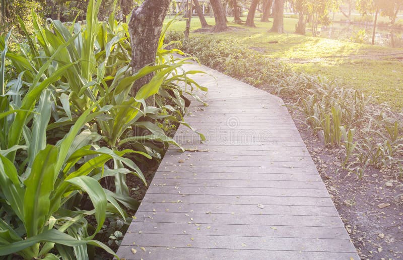 Outdoor Park Walkway Texture Pattern Stock Photo - Image of group ...