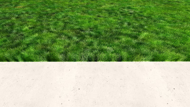 Outdoor Pathway Floor with Green Plant Leaves,3d Rendering Stock ...