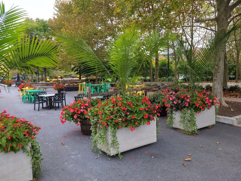 Charming Outdoor Patio with Flowers and Tables Featuring Large ...