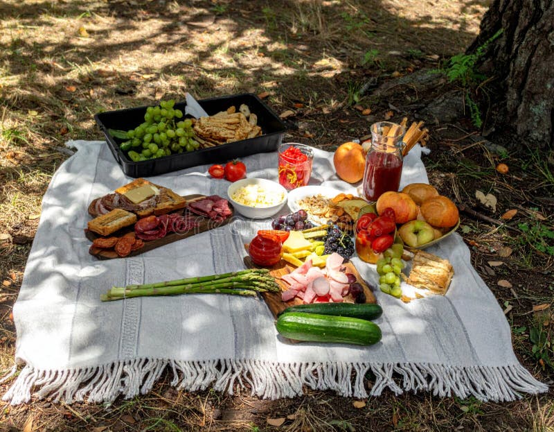 Outdoor Picnic with Assorted Foods on a Blanket Under Shaded Sunlight ...