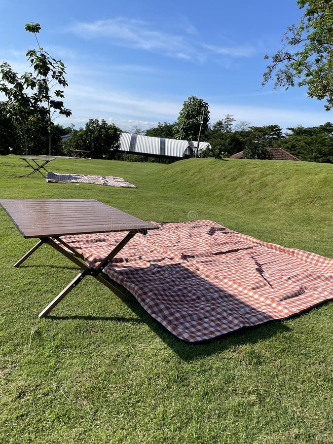 Outdoor Picnic Setup with Folding Table and Checkered Blanket on Lush ...
