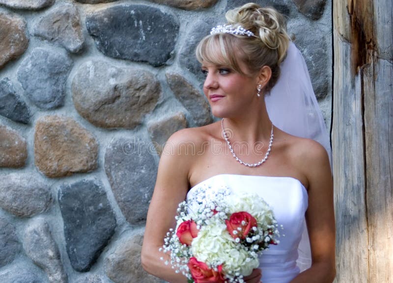 Outdoor Portrait of a Bride. Stock Photo - Image of wedding, processed ...