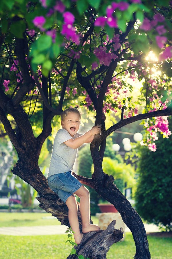 Funny boy on the tree stock image. Image of funny, little - 129414867