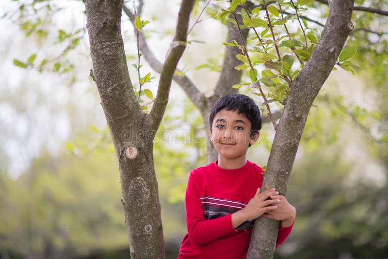 Outdoor Portrait of a Little Boy on a Tree Stock Photo - Image of india ...