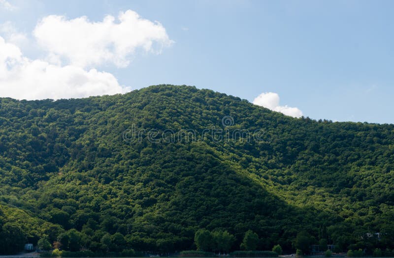 Outdoor Rural Landscape with Dense Forest Stock Image - Image of ...