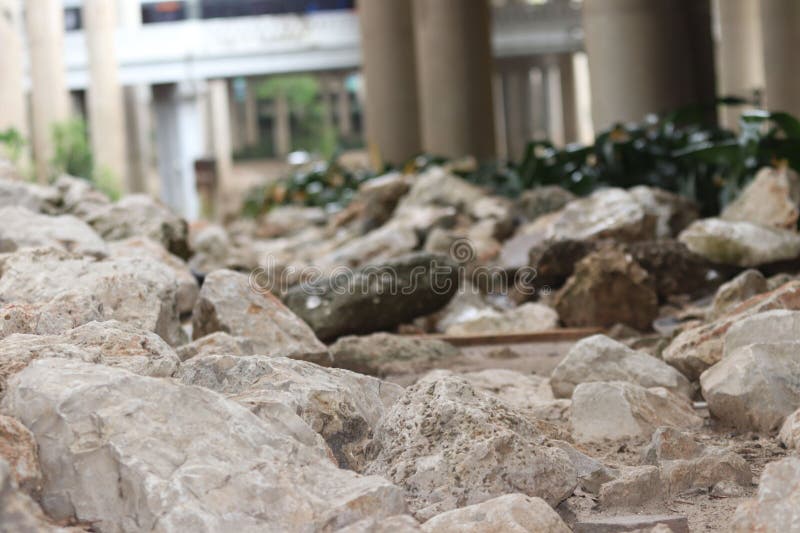 Outdoor Scene Featuring an Array of Assorted Shaped Rocks Scattered ...