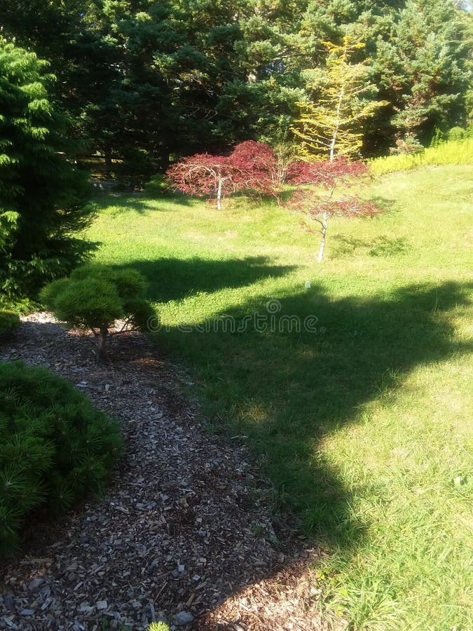 Outdoor stock image. Image of scenery, landscape, outdoor - 135877729