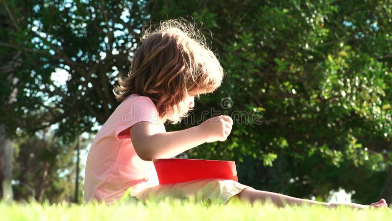 Outdoor Schooling. Back To School. Kid Boy Learning at School-yard ...