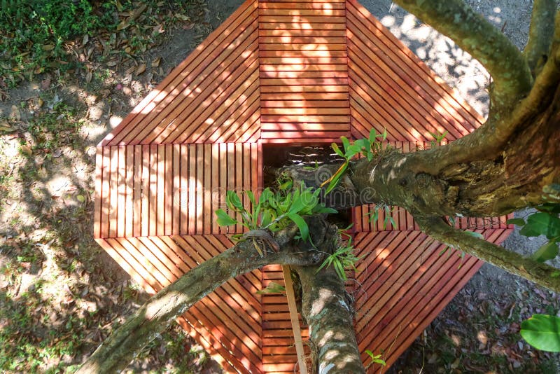 Outdoor Seating Under the Tree during Summer Stock Image - Image of ...