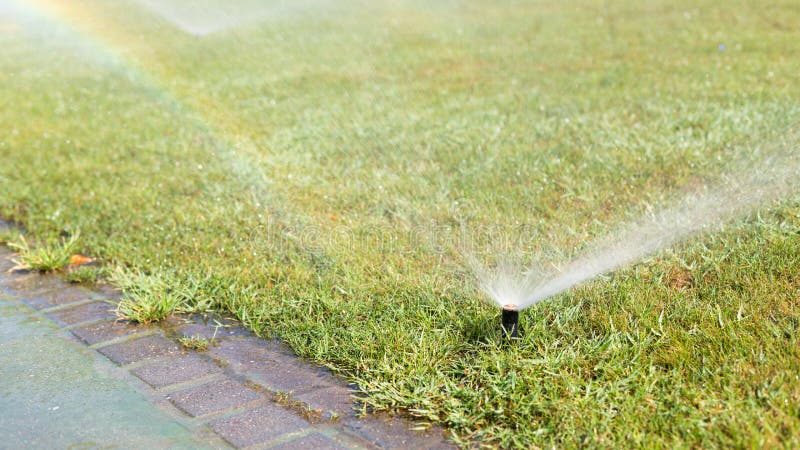 Outdoor sprinkler stock photo. Image of outdoor, green - 52758706