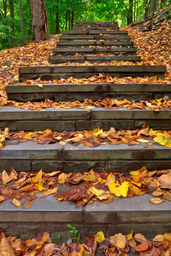 Outdoor Steps stock image. Image of stairway, climb, straight - 9659545