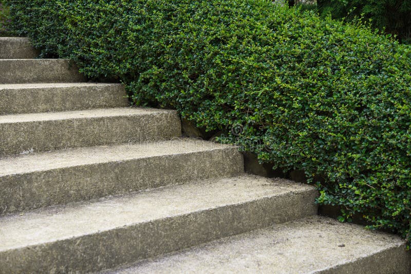 Outdoor steps stock image. Image of ladder, climbing - 46821453