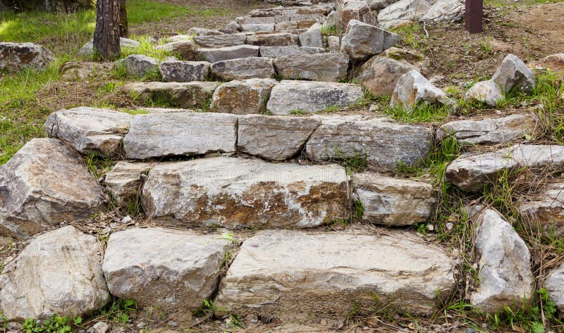 Outdoor Stone Steps with Green Grass Pine Needles Stock Photo - Image ...