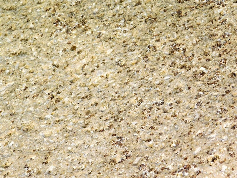 Outdoor stone texture stock photo. Image of closeup, rock - 70306900