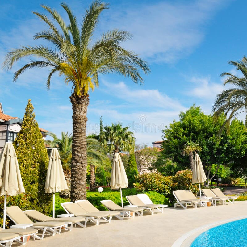 Outdoor Swimming Pool and Palm Trees Stock Image - Image of beautiful ...