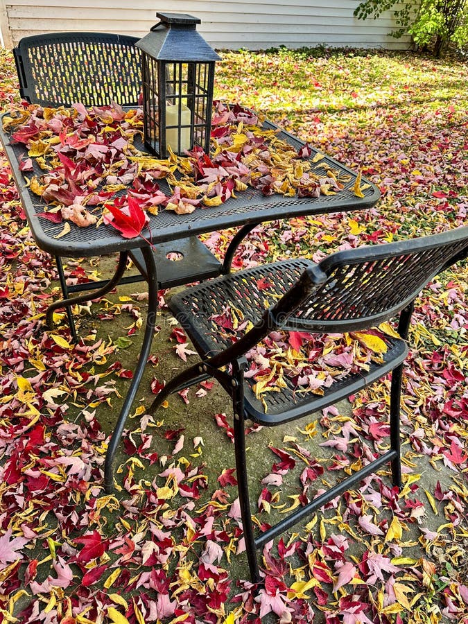 Outdoor Table and Chairs Surrounded by Colored Leaves during Fall Stock ...
