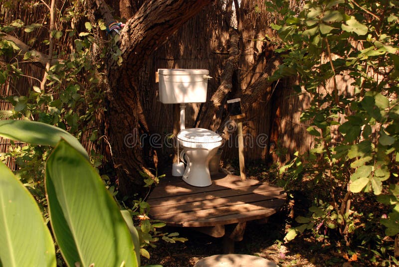 Outdoor toilet stock image. Image of humourous, tree - 64485177