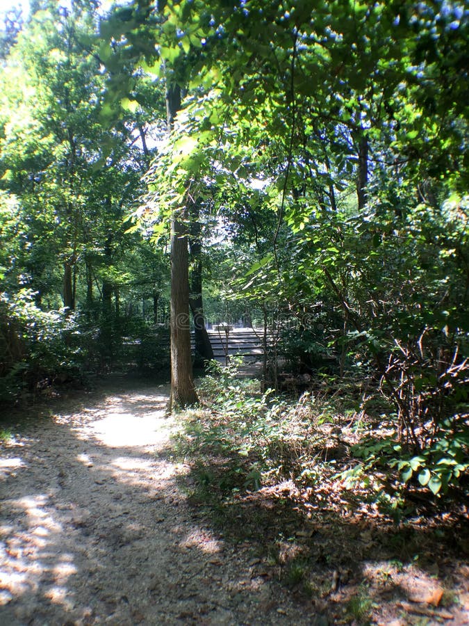 Outdoor trail stock image. Image of nature, head, portrait - 76217429