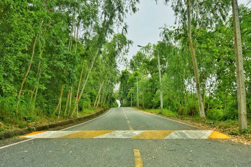 Outdoor Travel Nature Forest Stock Image - Image of outdoor, thailand ...