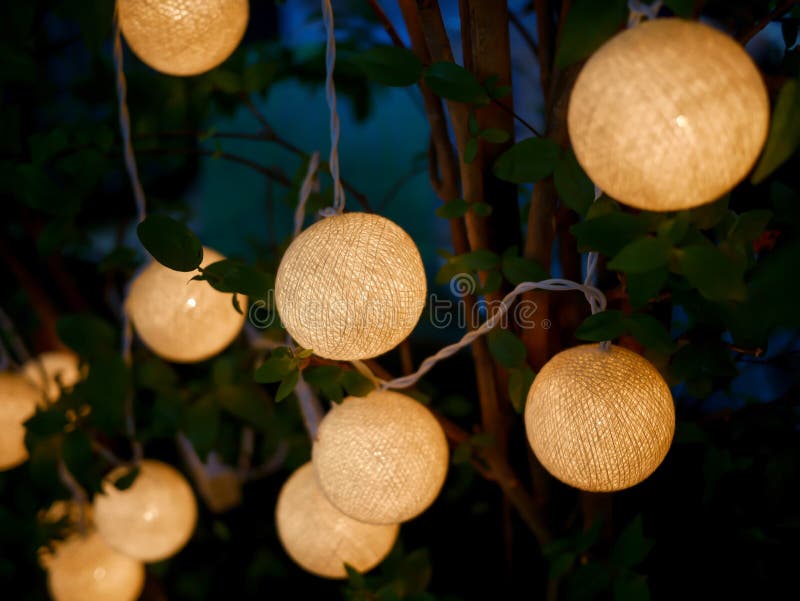 Outdoor Tree with Decorated Circular Lights, Lamp Light Stock Photo ...