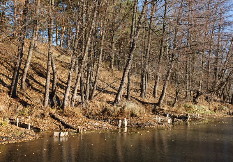 Outdoor View of Frozen Lake in Winter Stock Image - Image of water ...