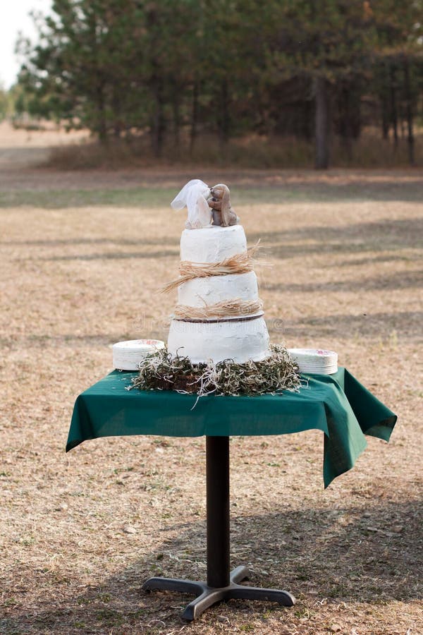 Outdoor wedding cake stock photo. Image of setting, bride - 28300132