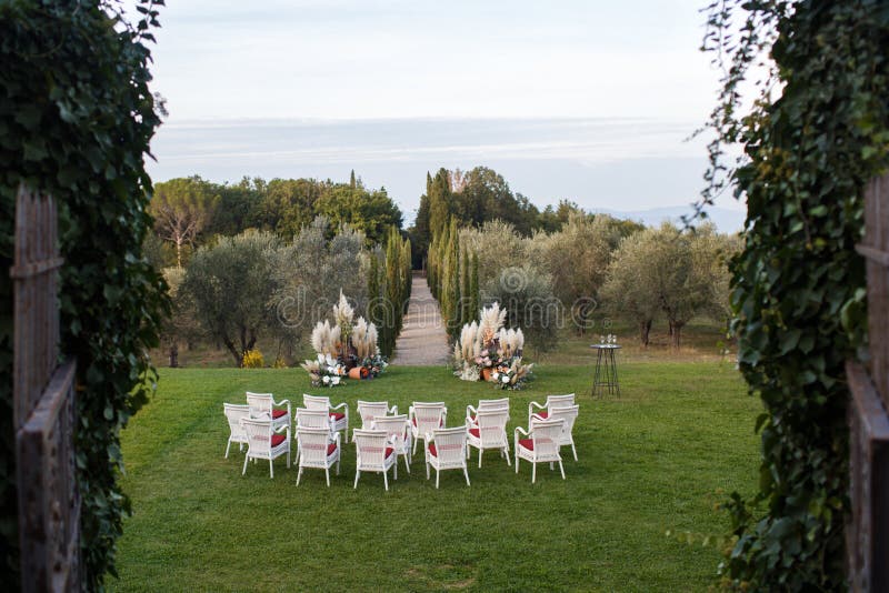 Outdoor Wedding Ceremony in the Olive Garden Stock Image - Image of ...
