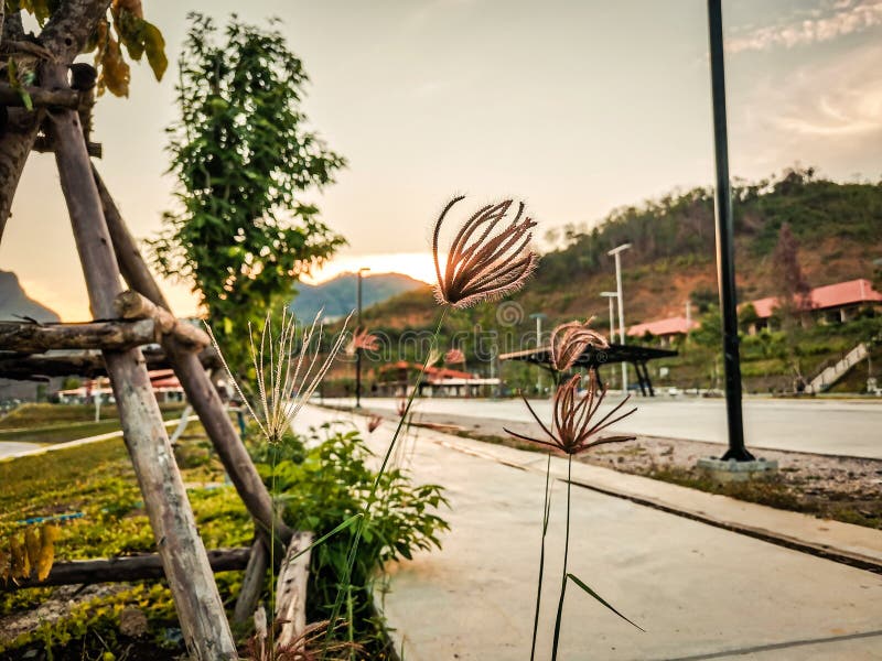 Outdoor Xayaburi dam stock photo. Image of plant, resort - 183029492