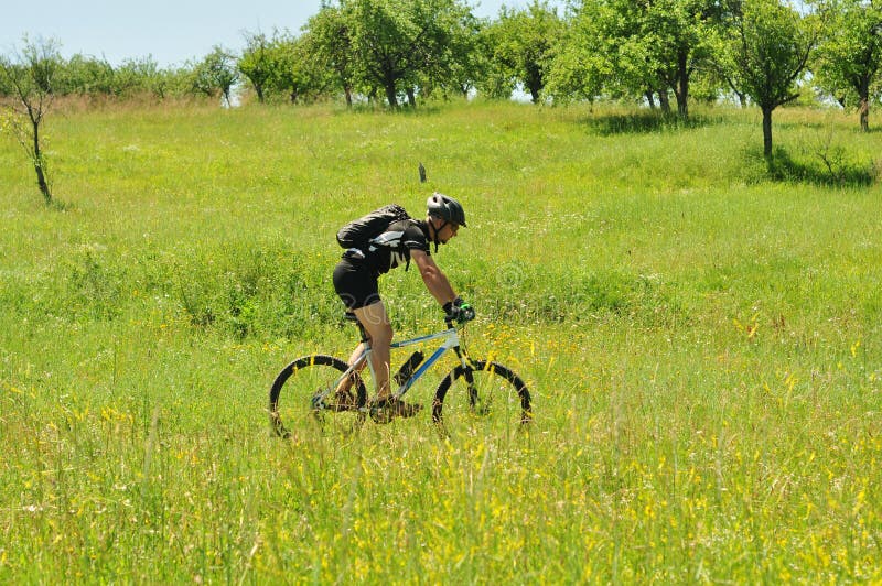 Outdoors bicyclist stock photo. Image of summer, rural - 31765356
