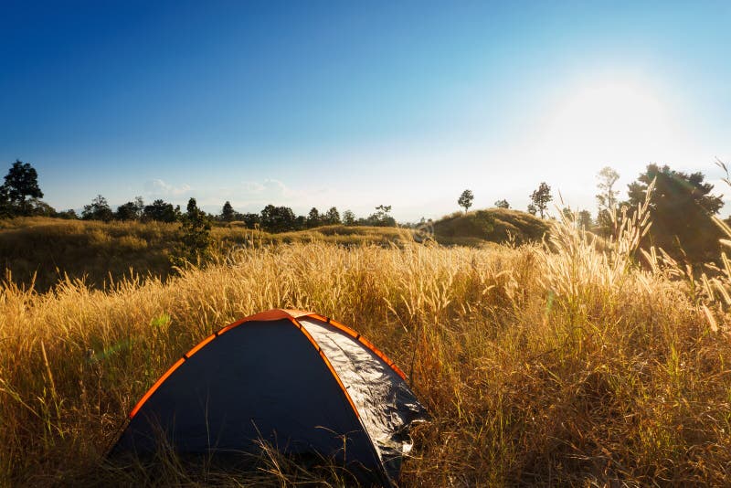 Outdoors Camping Grass Highlands Mountain in the Sunset Stock Image ...