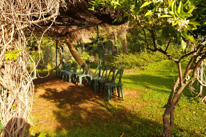 Outdoors Class for Activities and Chairs Under the Trees Stock Photo ...