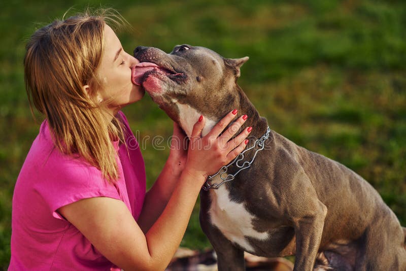 Outdoors on the Field. Woman in Casual Clothes is with Pit Bull Stock ...