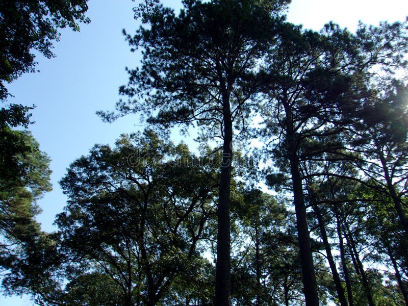 Outdoors in the Park during the Daytime 4 Stock Image - Image of park ...