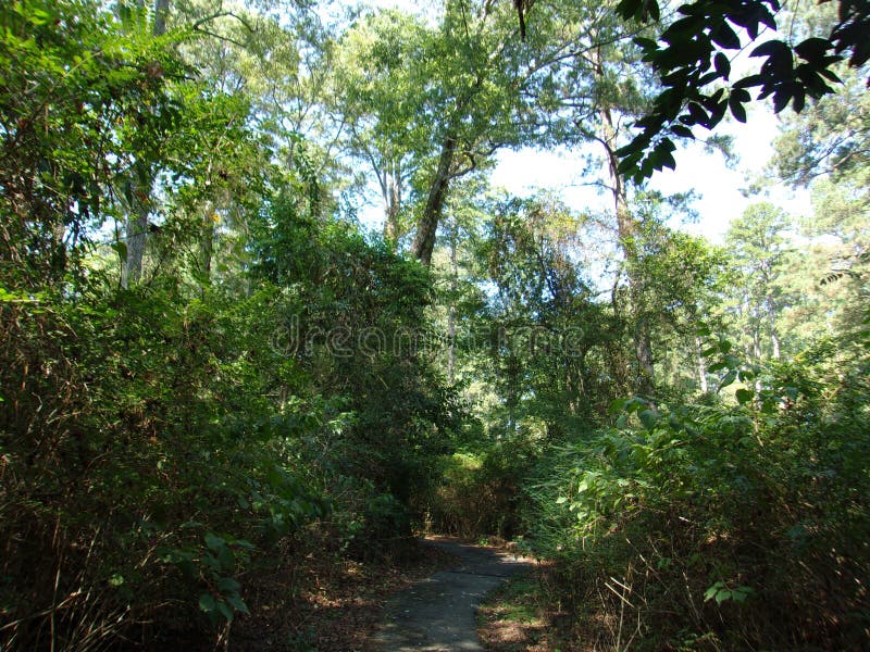Outdoors in the Park during the Daytime 7 Stock Image - Image of ...